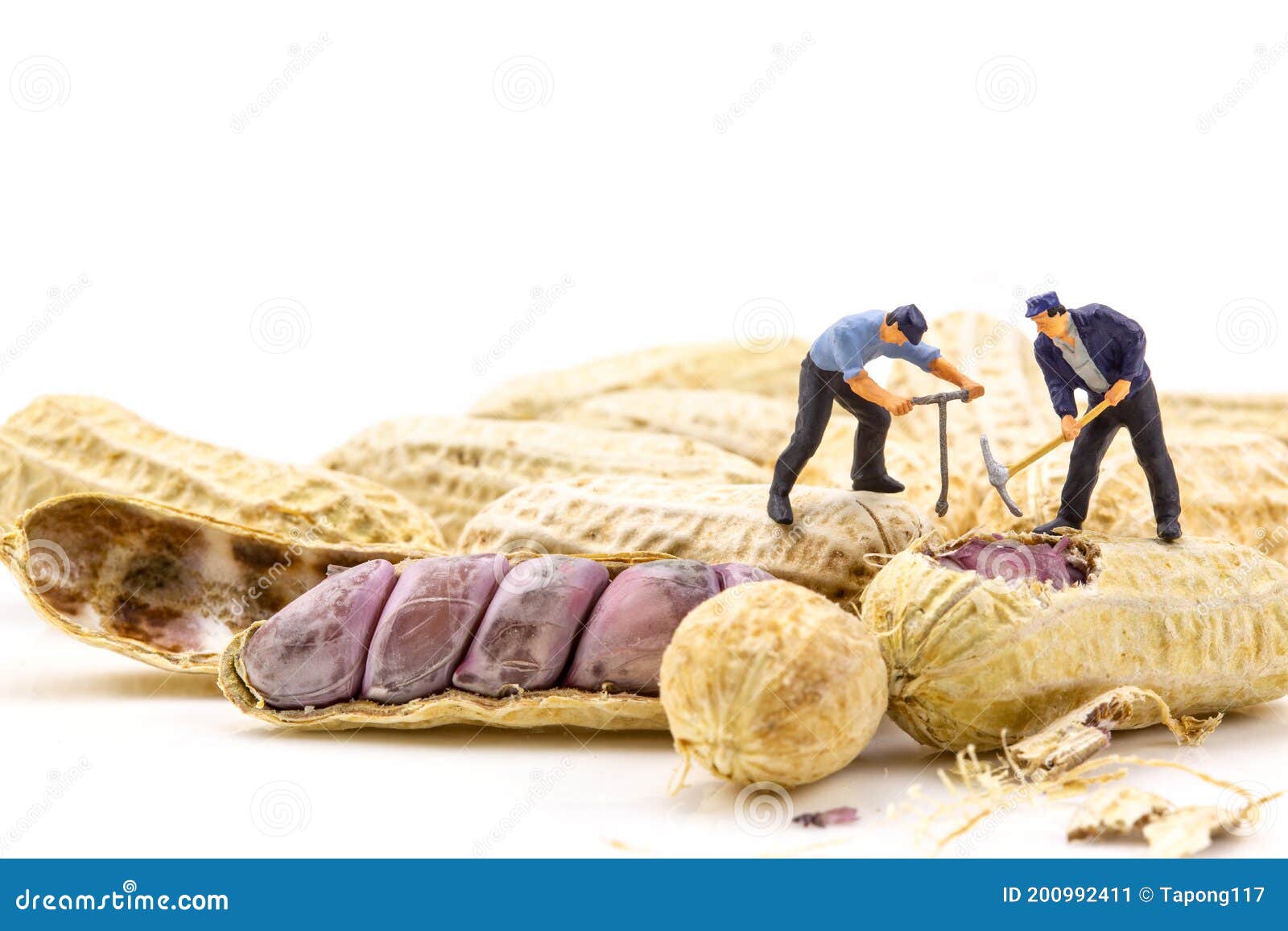 A Crack Peanut On The Top Of Pile Of Peanuts Royalty-Free Stock Image ...