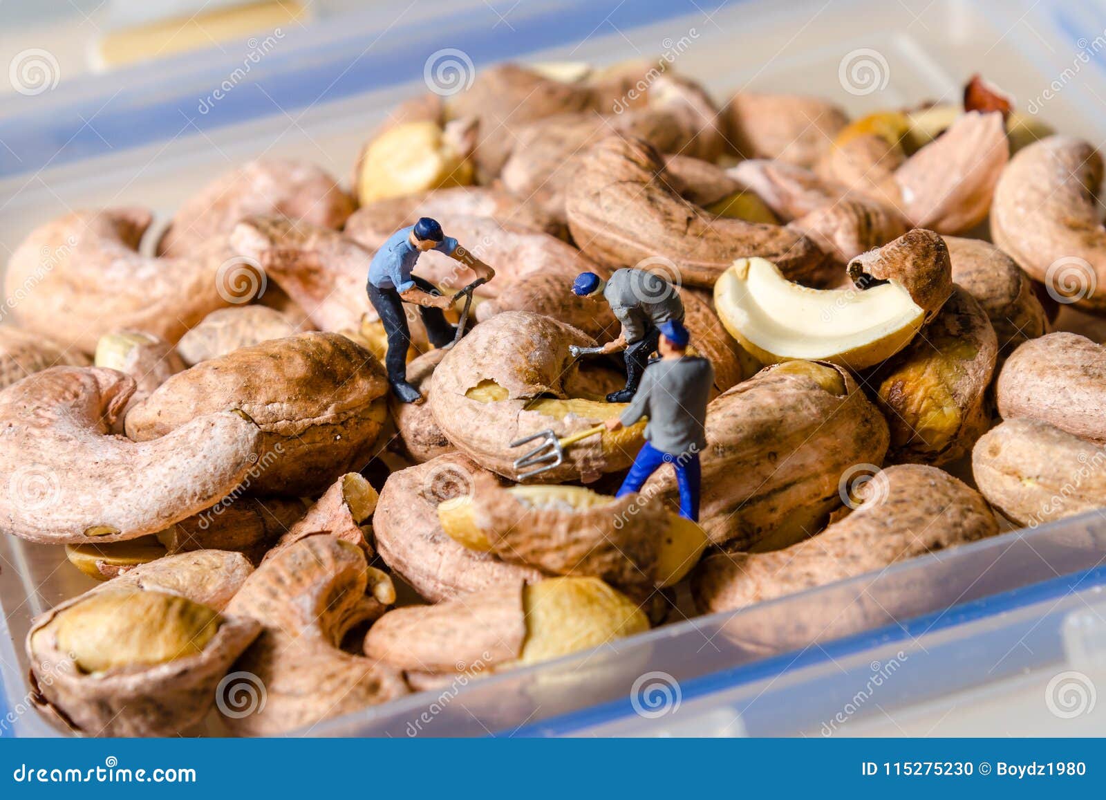 Miniature Workers Team Working with Nuts Stock Photo - Image of worker ...
