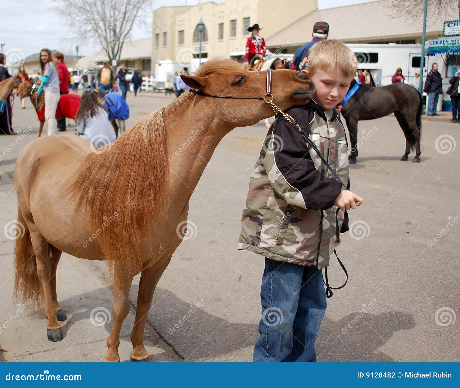 Miniatuur Paard redactionele fotografie. Image of landbouwbedrijf - 9128482
