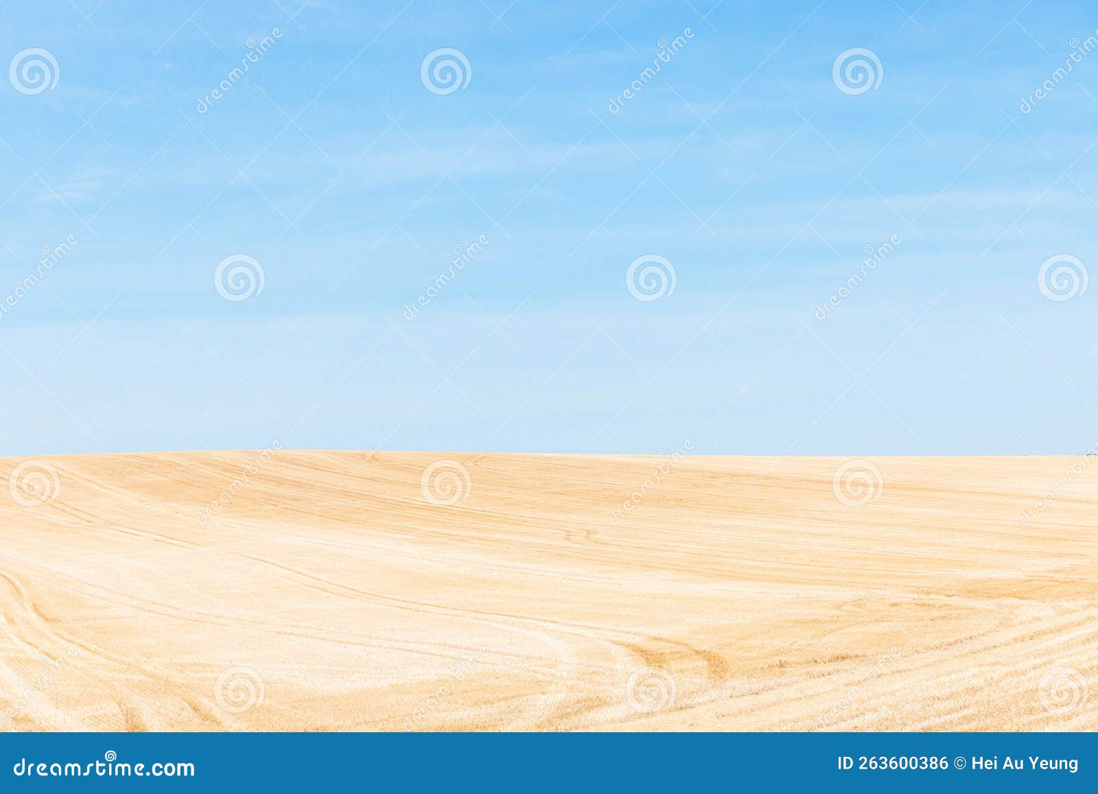 Minimal Abstract Background of Meadow Field in Autumn, England Stock ...