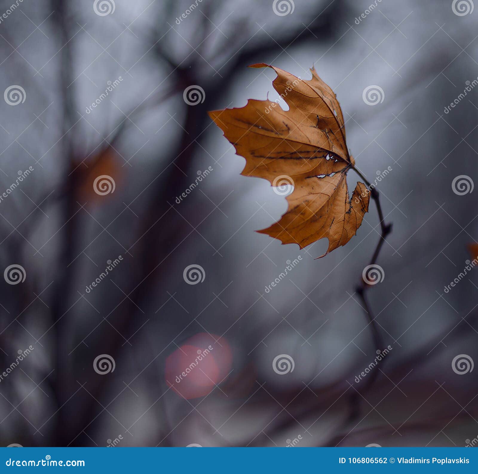 Minimal autumn art. stock photo. Image of dune, nature - 106806562