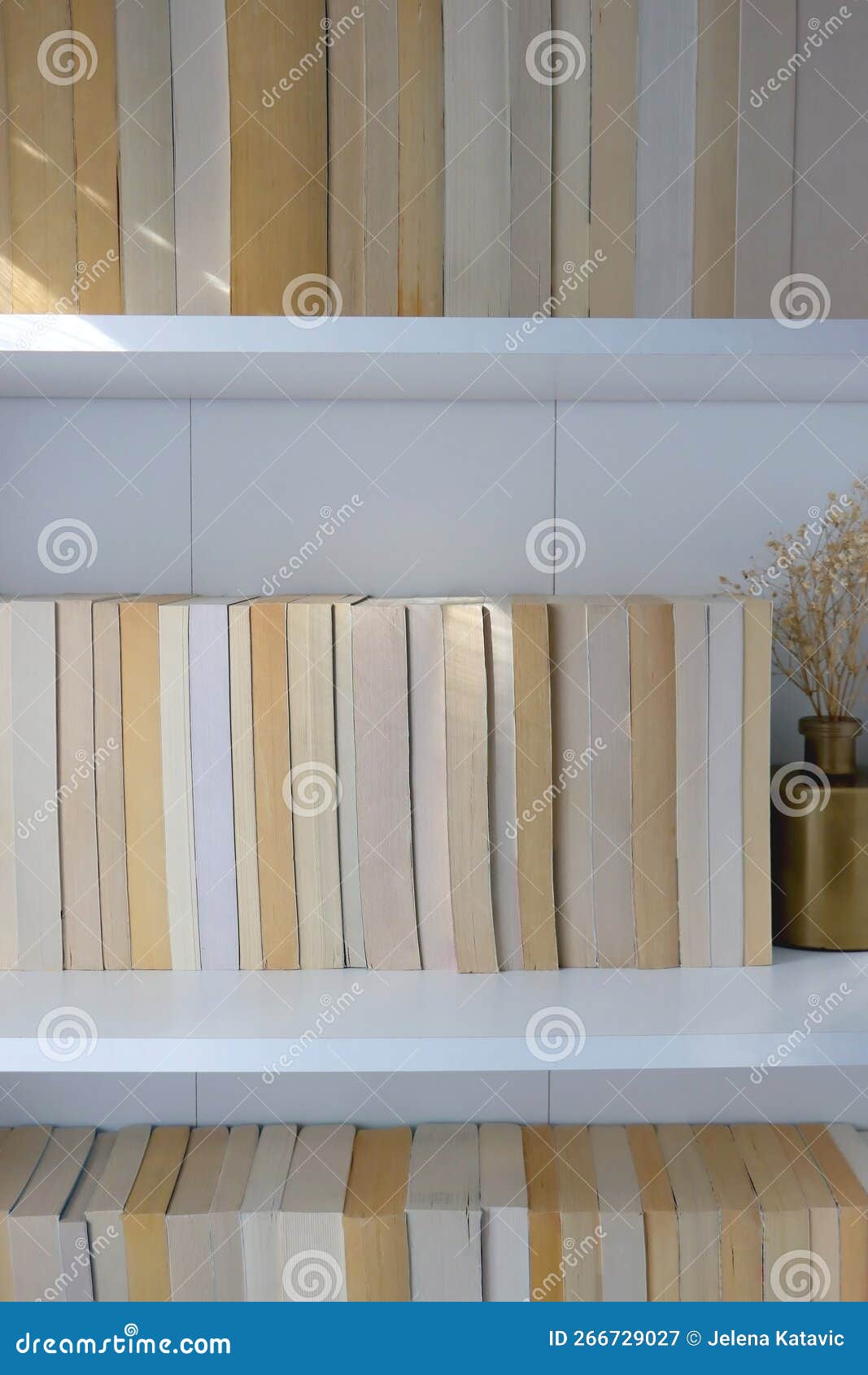 Minimal Bookshelf stock image. Image of design, minimal - 266729027