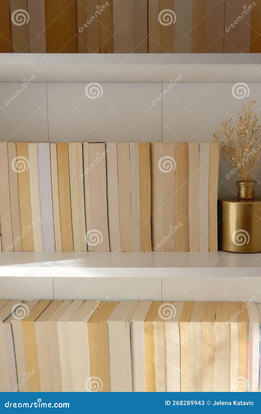 Minimal Bookshelf stock image. Image of literature, beige - 268289943