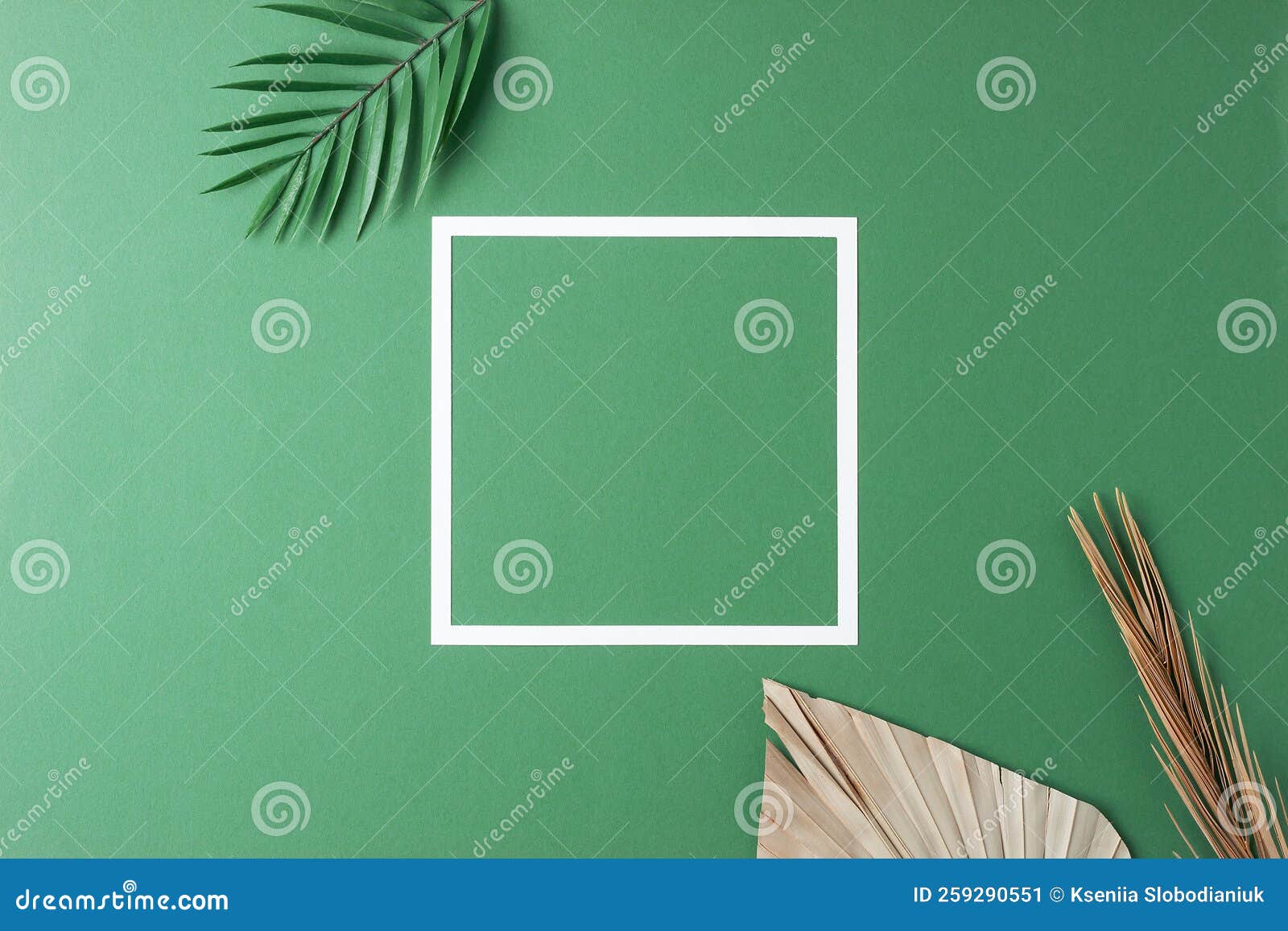 Minimal Composition with White Frame and Palm Leaf on Green Background ...