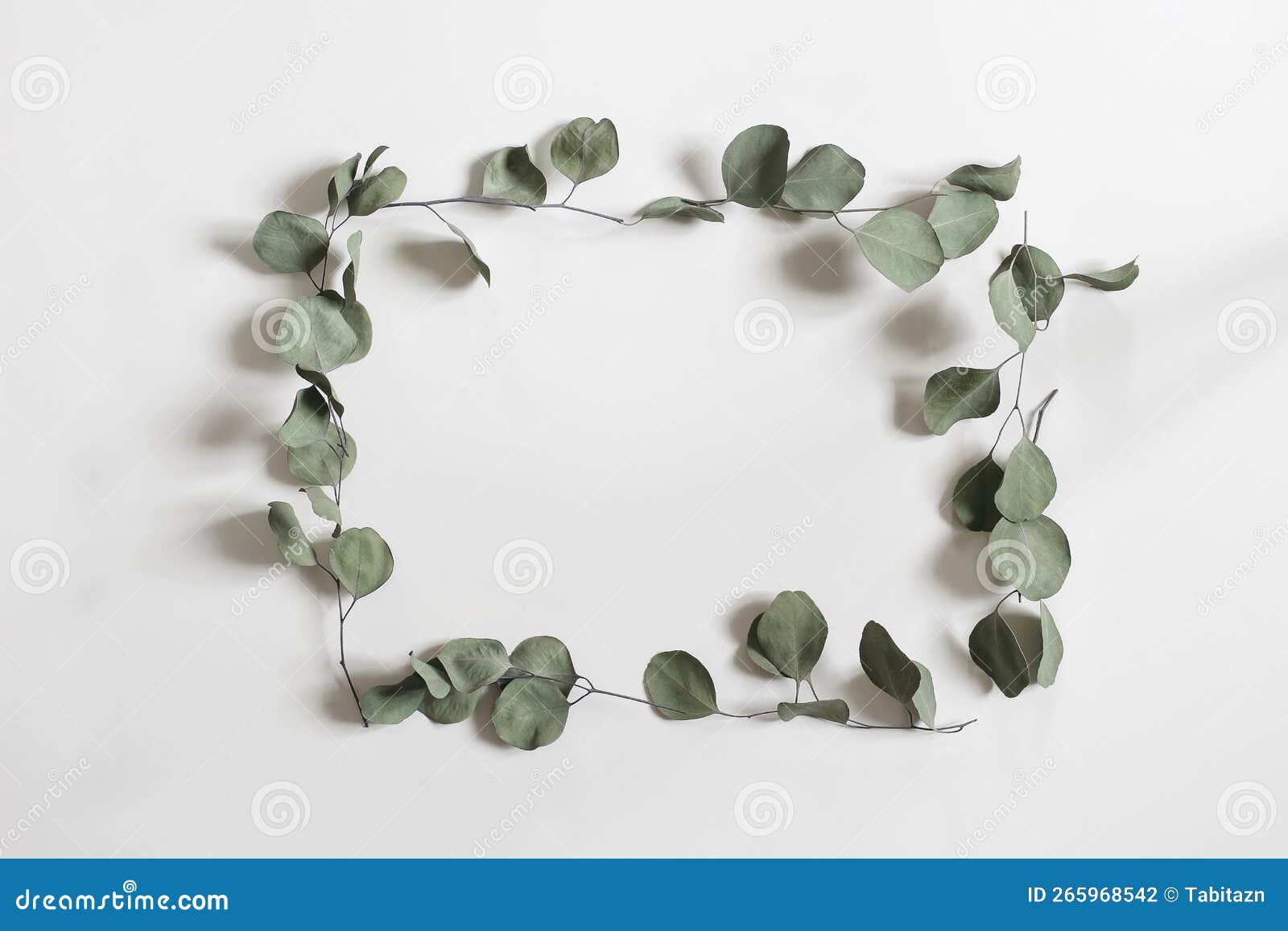 Minimal Floral Frame Made of Dry Eucalyptus Tree Leaves and Branches ...