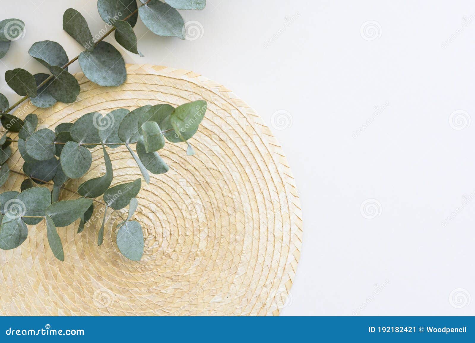Minimal Frame with Branches Eucalyptus and Leaves on White Table. Top ...