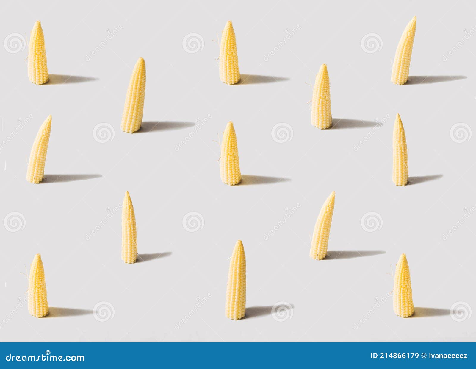 Minimal Pattern of Organic Natural Baby Corn. Concept Made with ...