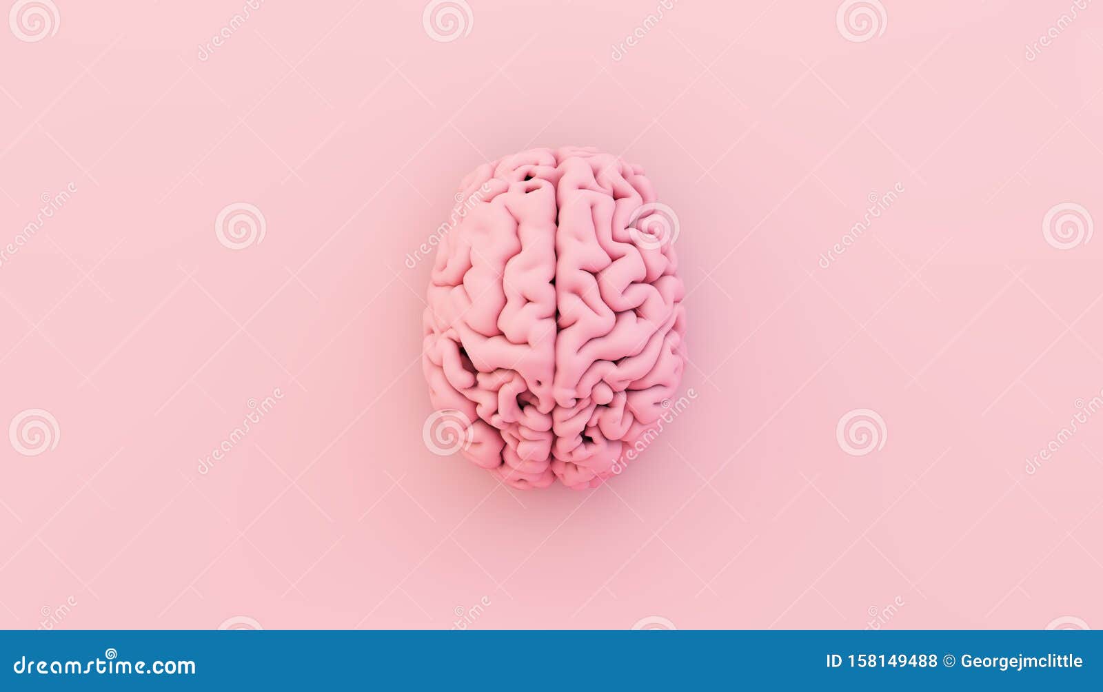 Pink Brain, Funny Human Nervous System Organ Cartoon Character Thinking ...