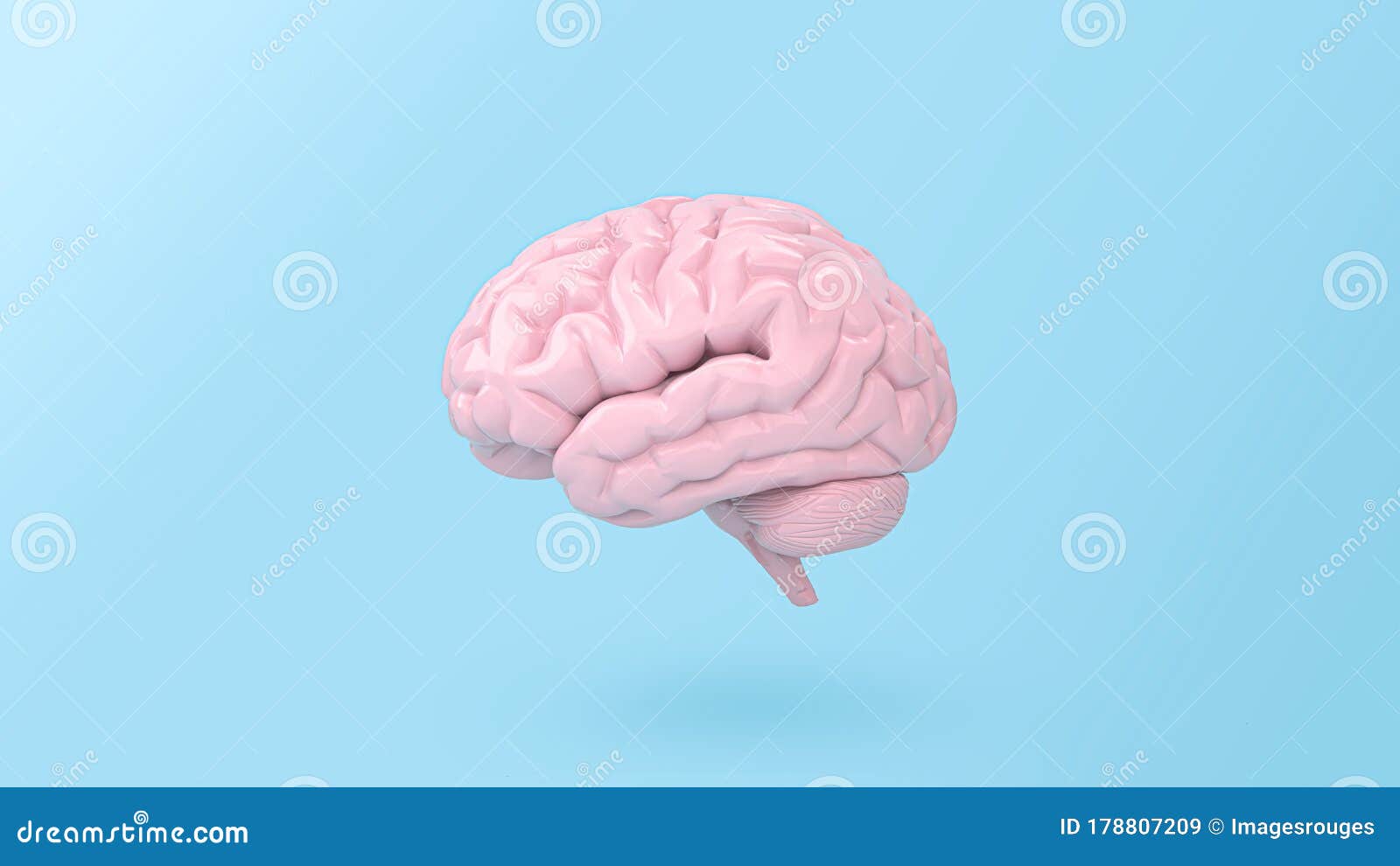 Minimal Pink Brain in View Front on Blue Background Stock Illustration ...