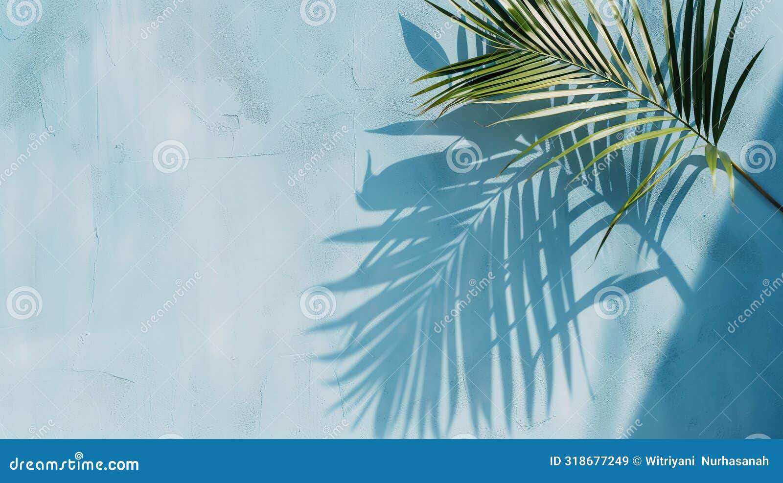 Minimal Product Placement Background with Palm Shadow on Blue Plaster ...