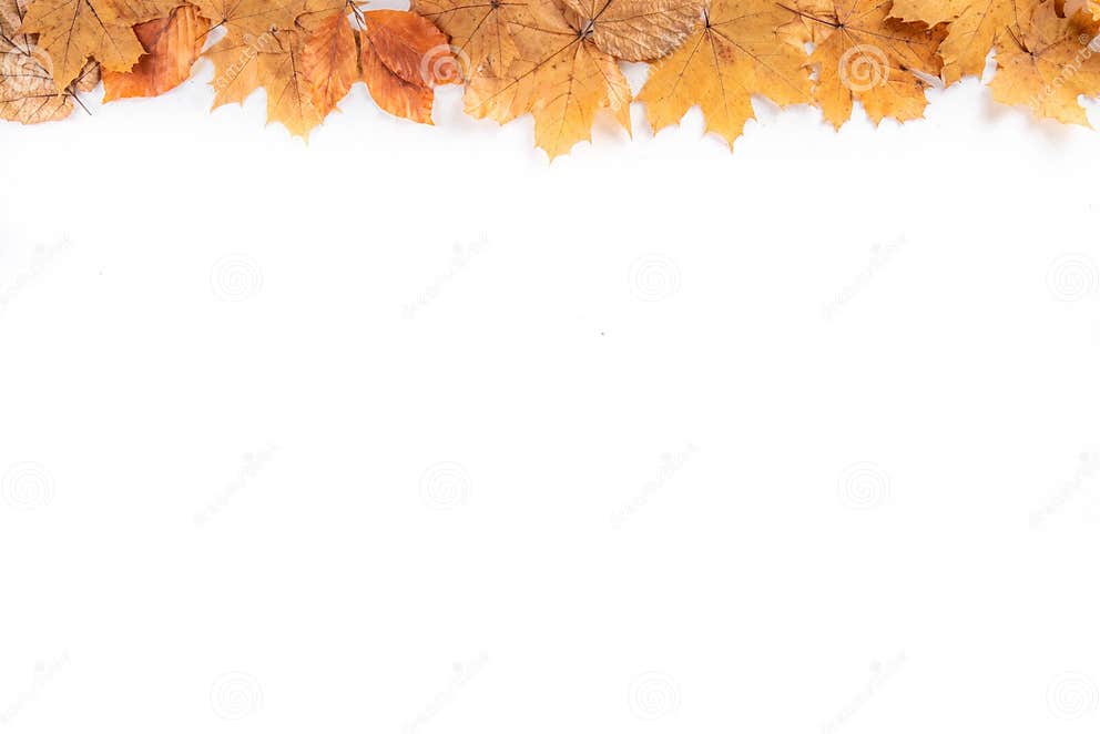 Minimal Sparse Autumn Background with Fall Leaves Stock Photo - Image ...