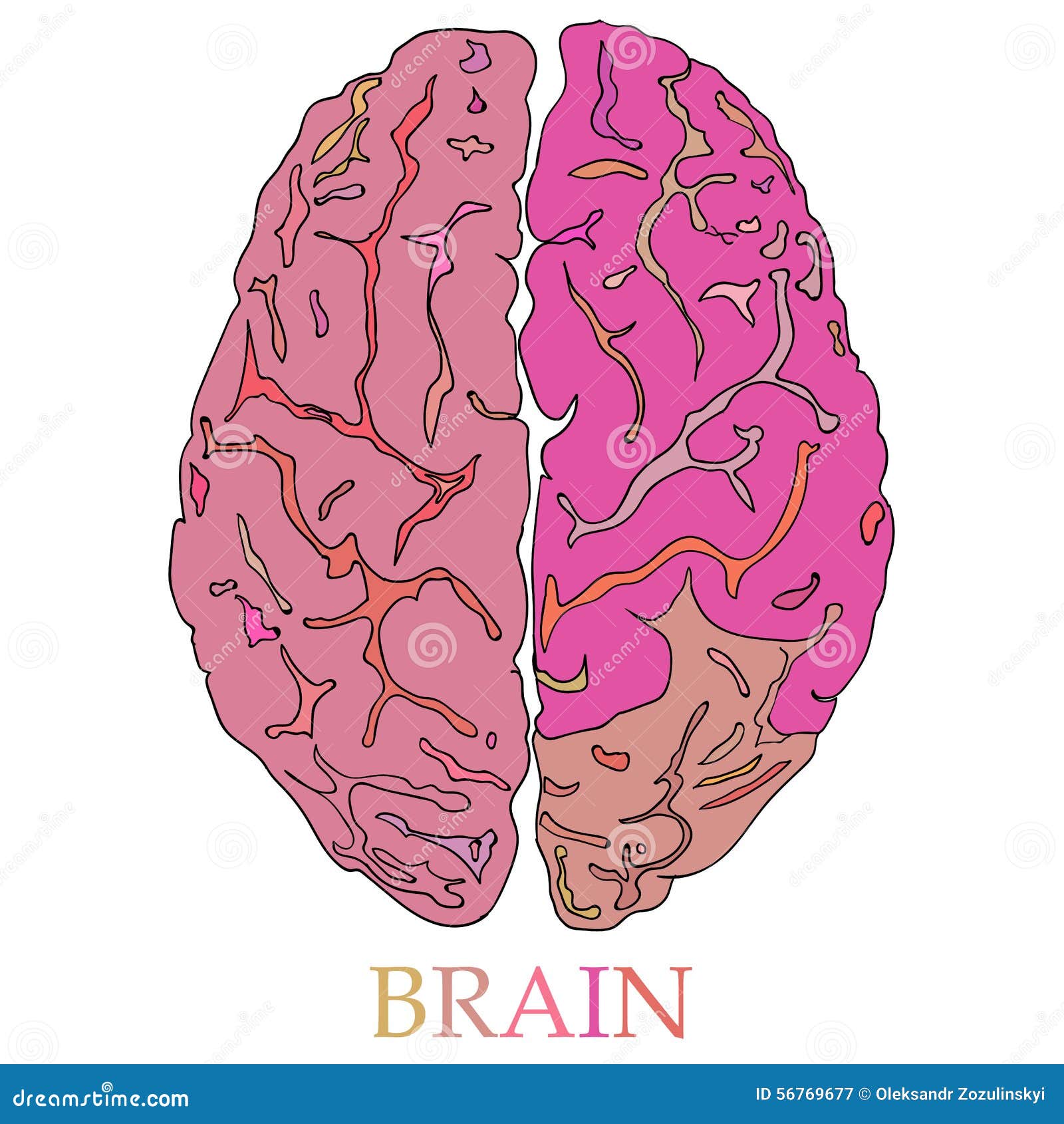 Minimal Style Brain Icon Illustration Stock Vector - Illustration of ...