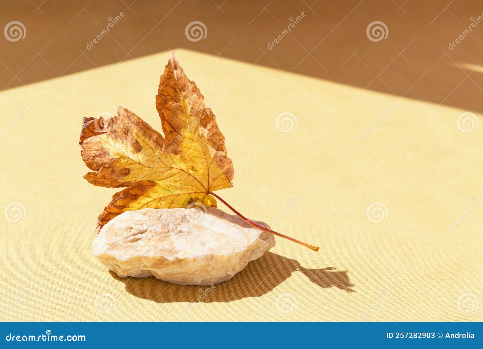Minimal Style Composition Made of Dried Maple Leaf and Stone on Pastel ...
