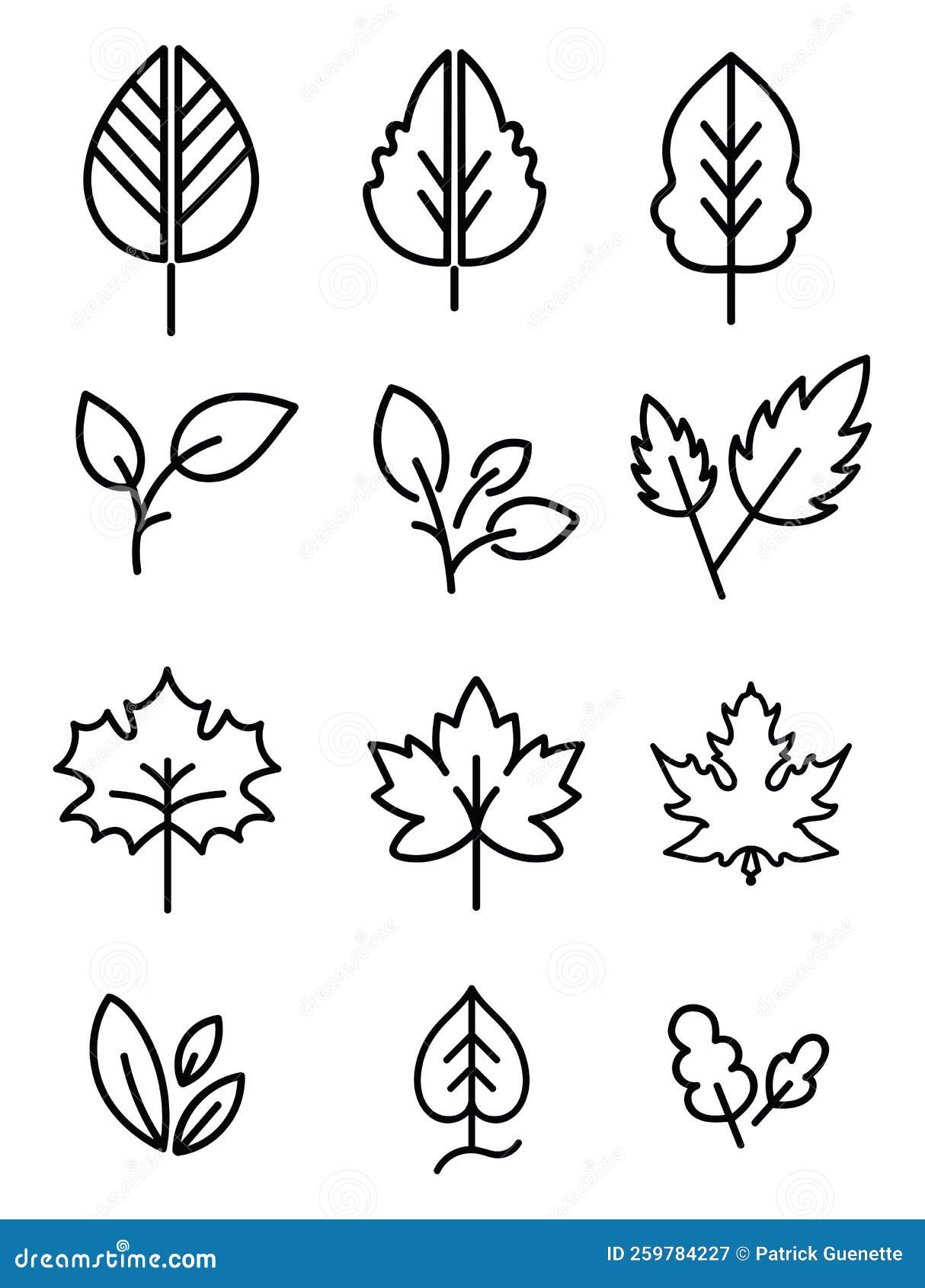 Minimal white leaves, icon stock vector. Illustration of print - 259784227