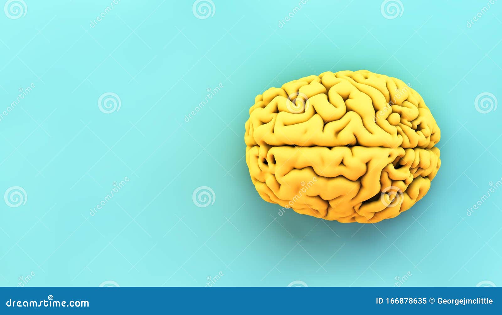 Red And Yellow Brain With Paint Smudges Stock Illustration ...