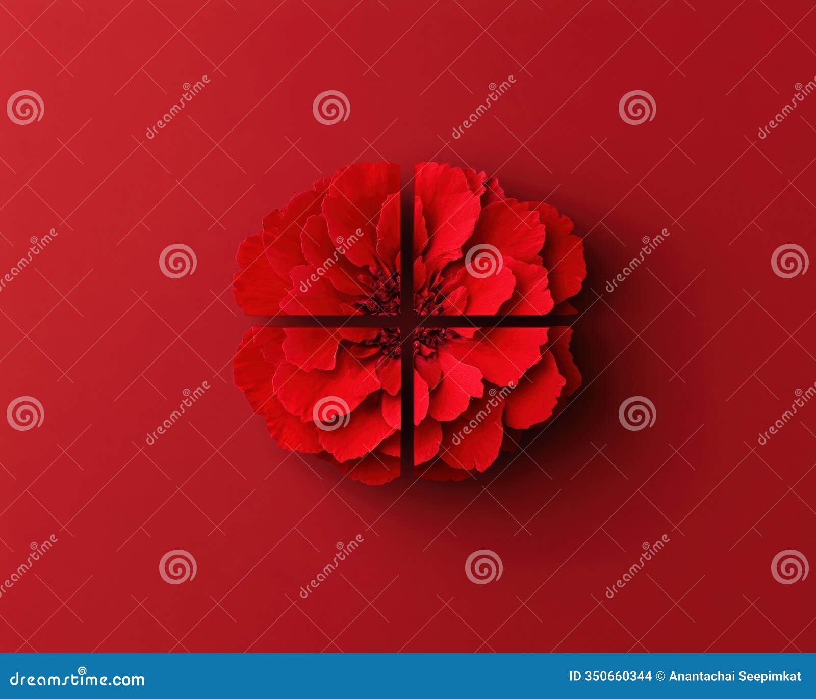 Minimalist Abstract Design Featuring a Red Flower Divided into Four ...