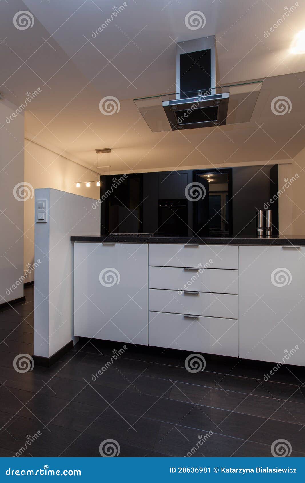 Minimalist Apartment - Kitchen with Hood Stock Image - Image of ...
