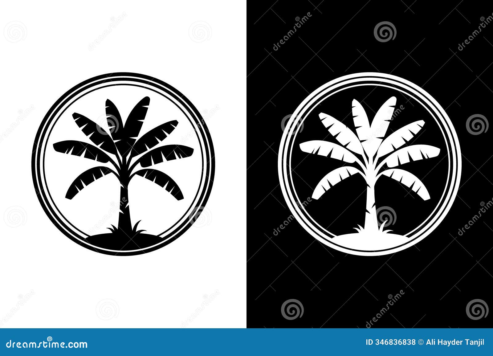 Minimalist Banana Plant And Sun. Boho Vector Illustartion ...