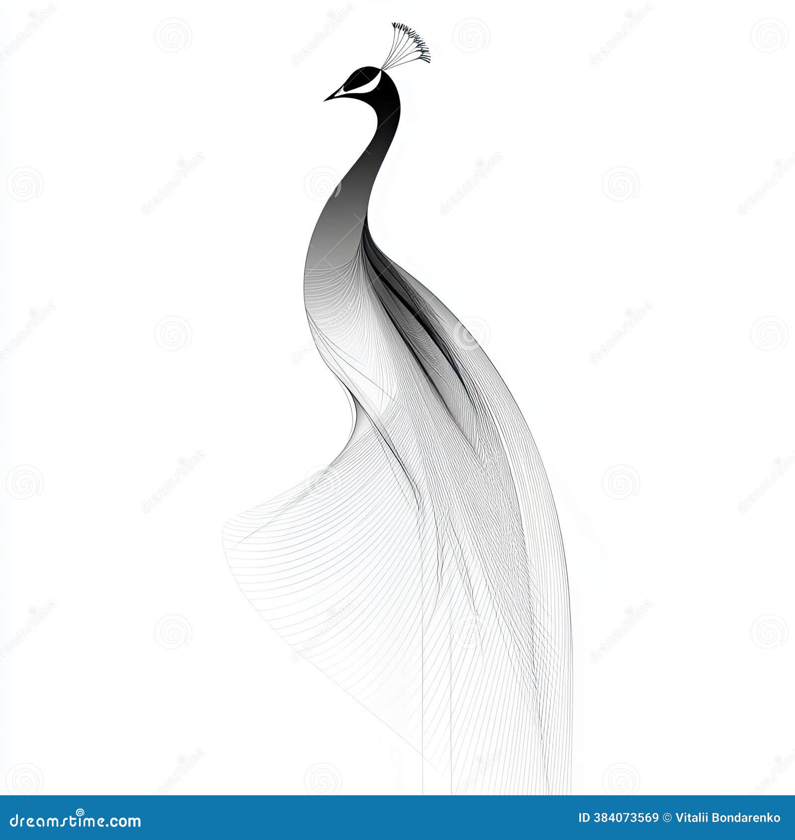 Black Peacock With Roots And Flowers: Monochromatic Graphic Design ...