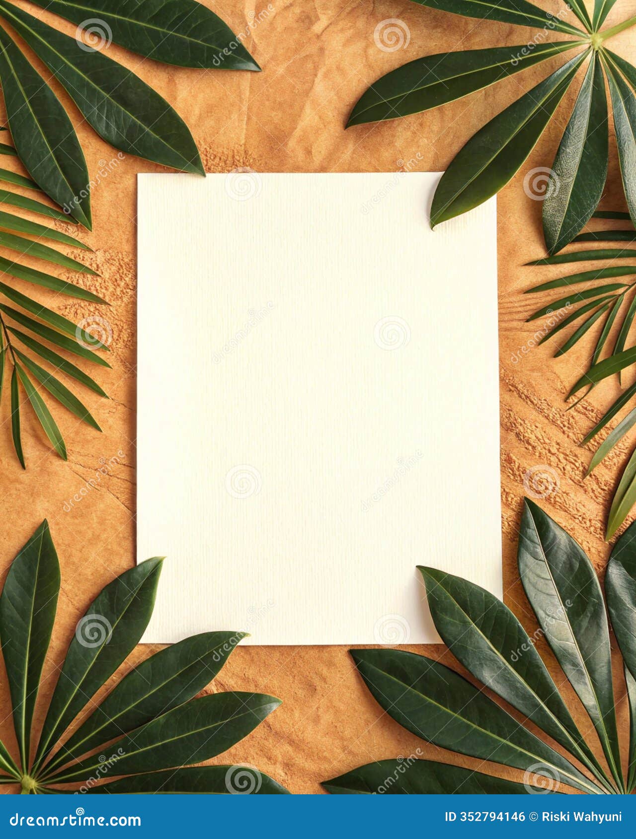 Minimalist Border Design With Paper Texture Royalty-Free Stock Photo ...