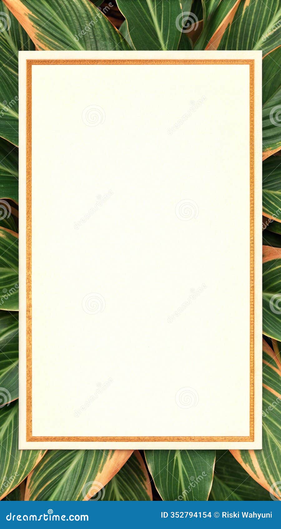 Minimalist Border Design With Paper Texture Royalty-Free Stock Image ...