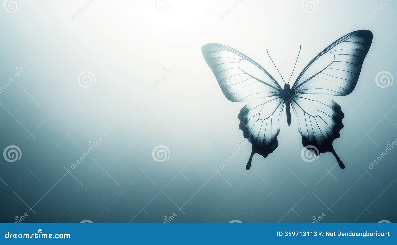 Minimalist Butterfly Outline with Delicate Wings on Soft Background ...