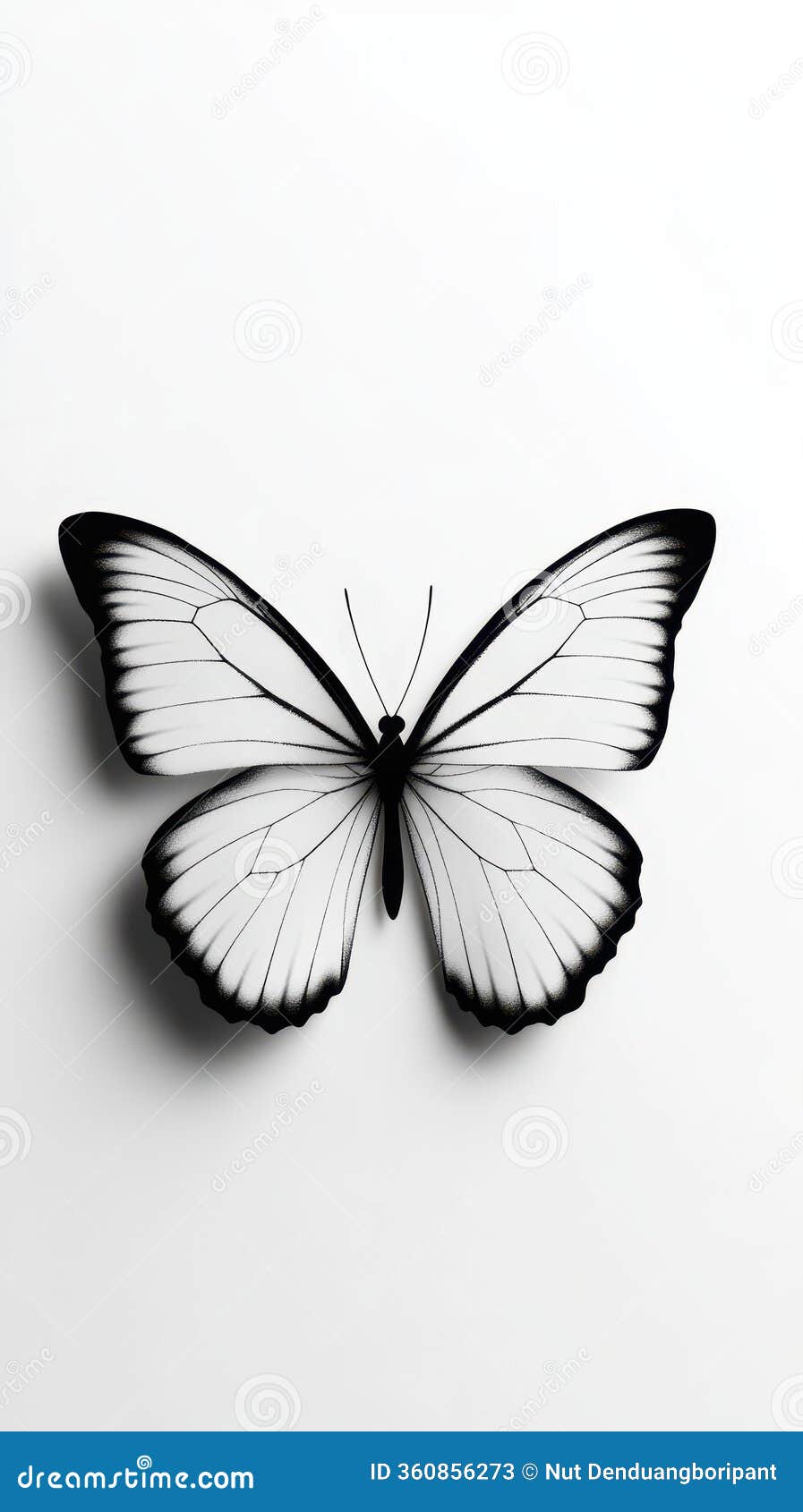 Minimalist Butterfly Outline with Delicate Wings on White Background ...
