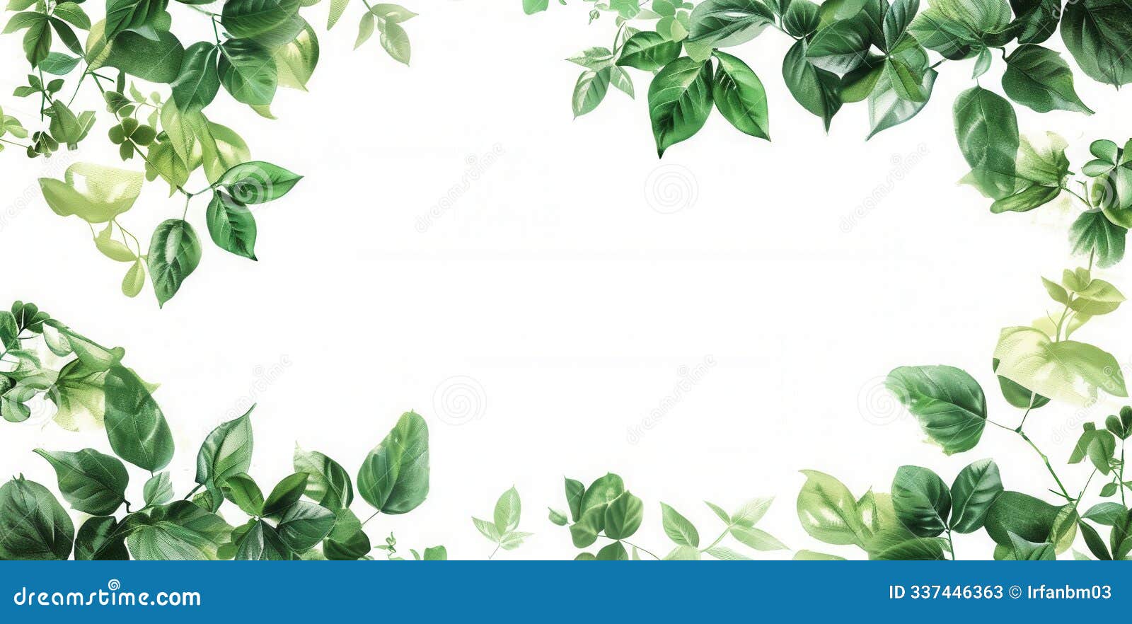 Minimalist Clean Frame on Transparent Background. Clean and Modern ...