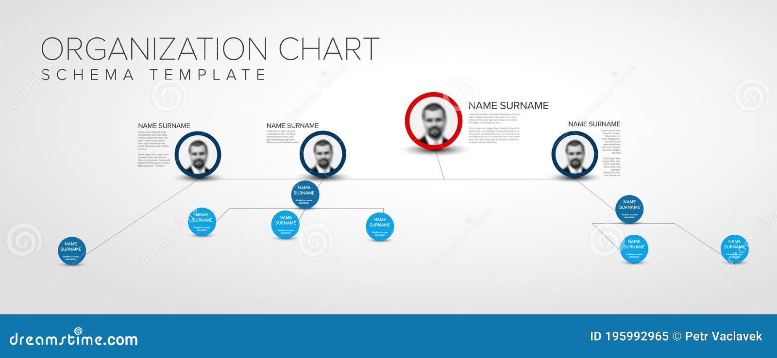 Minimalist 3D Hierarchy Chart Schema with Photos Stock Vector ...