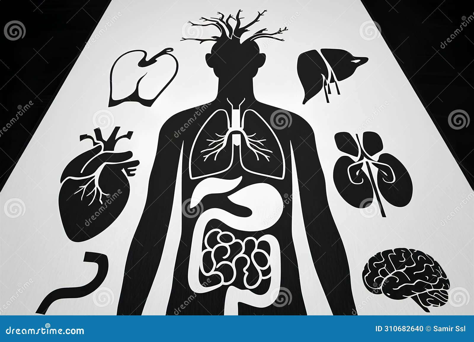 Minimalist Design Featuring Simplified Silhouettes of Various Organs ...