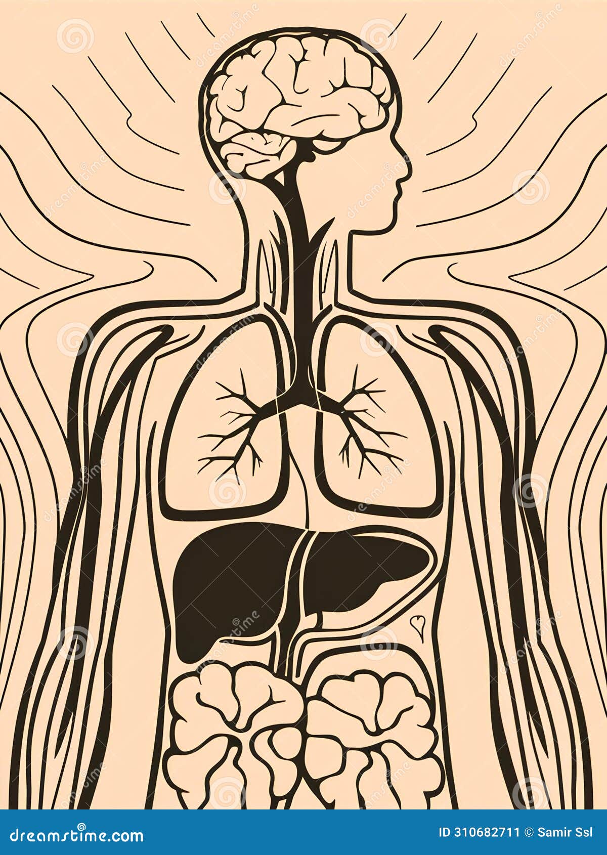 Minimalist Design Featuring Simplified Silhouettes of Various Organs ...