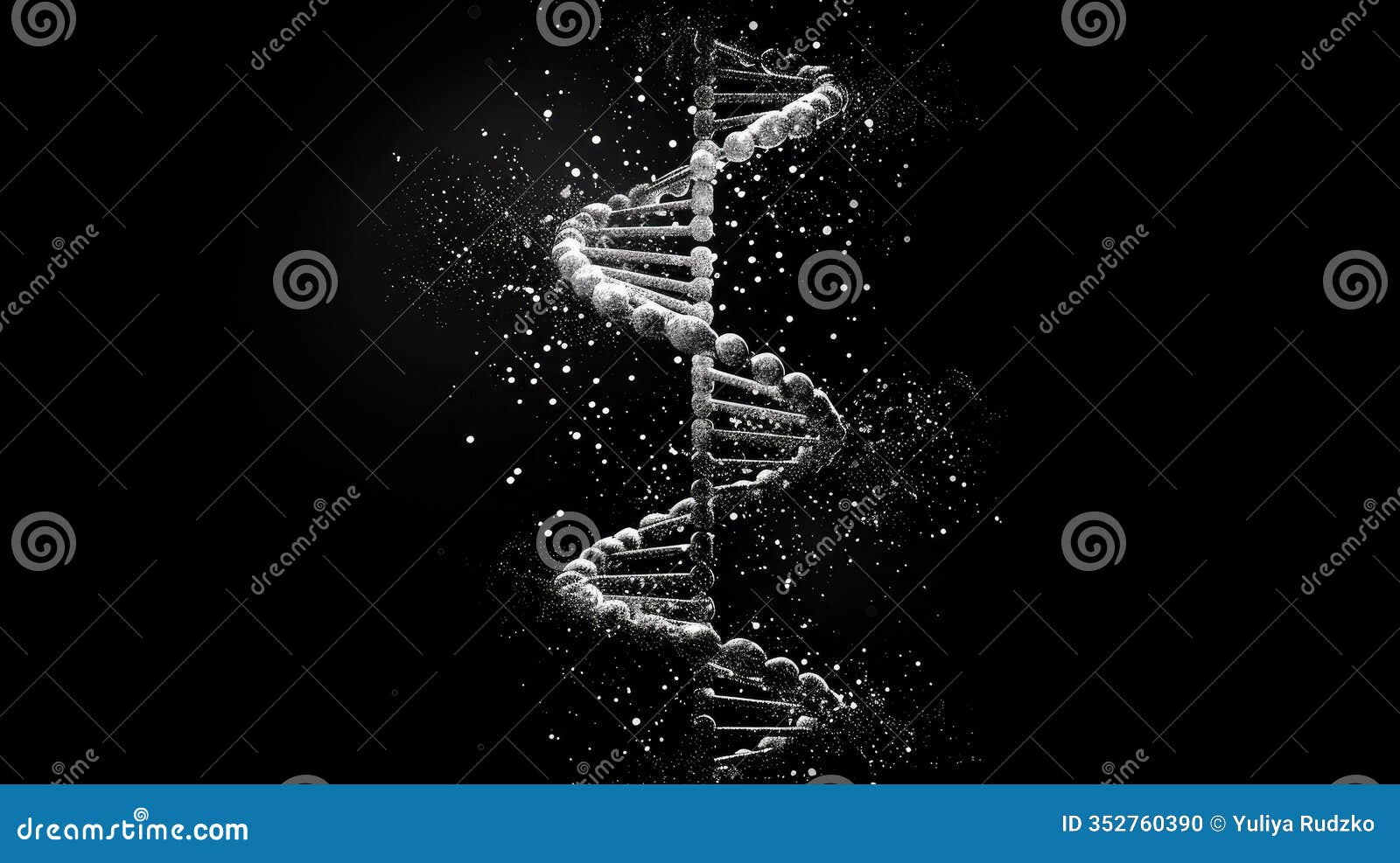 Minimalist DNA Double Helix Structure Stock Illustration - Illustration ...