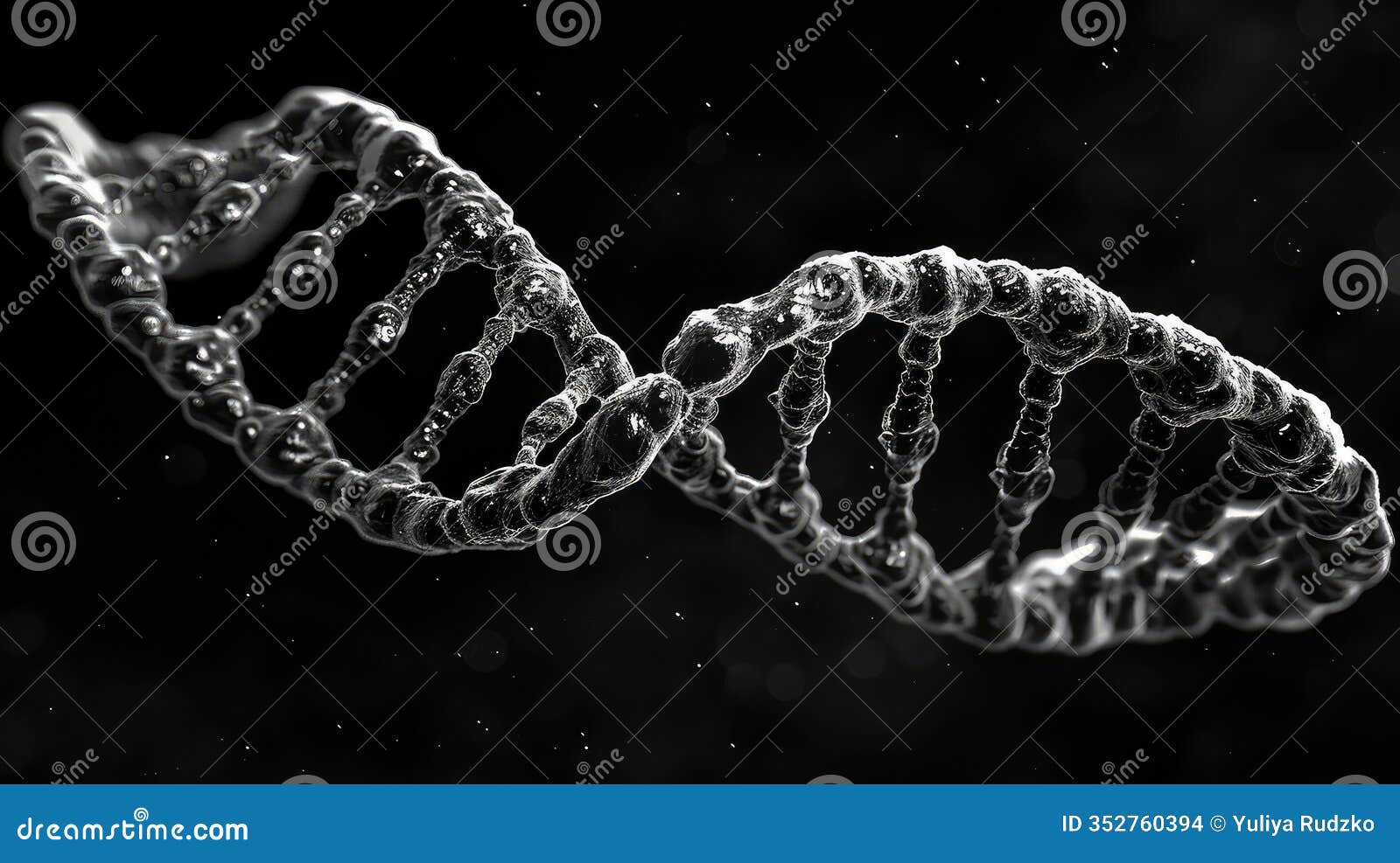 Minimalist DNA Double Helix Structure Stock Illustration - Illustration ...