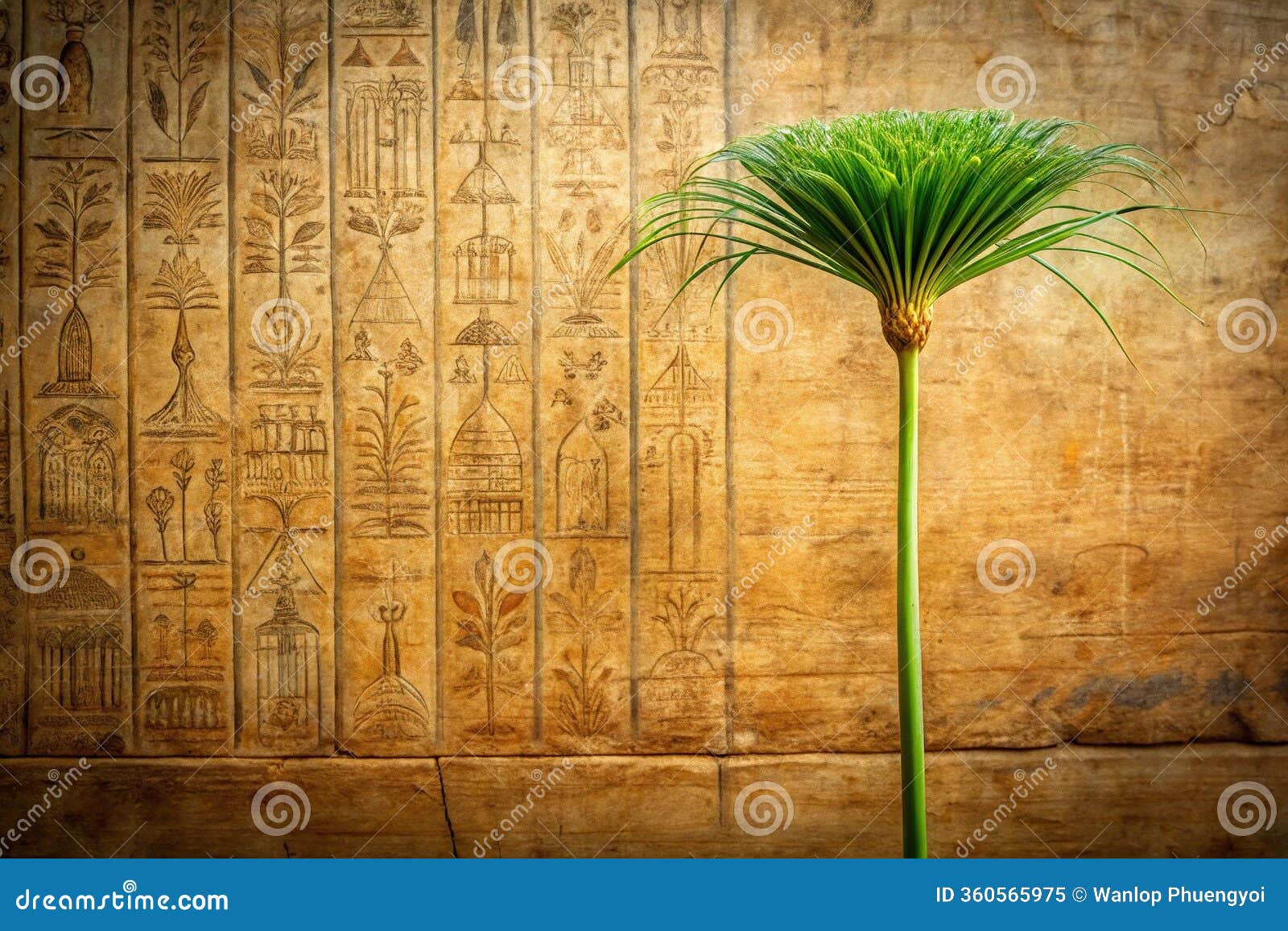 Minimalist Egyptian Papyrus a Stunning Visual Representation of Ancient ...