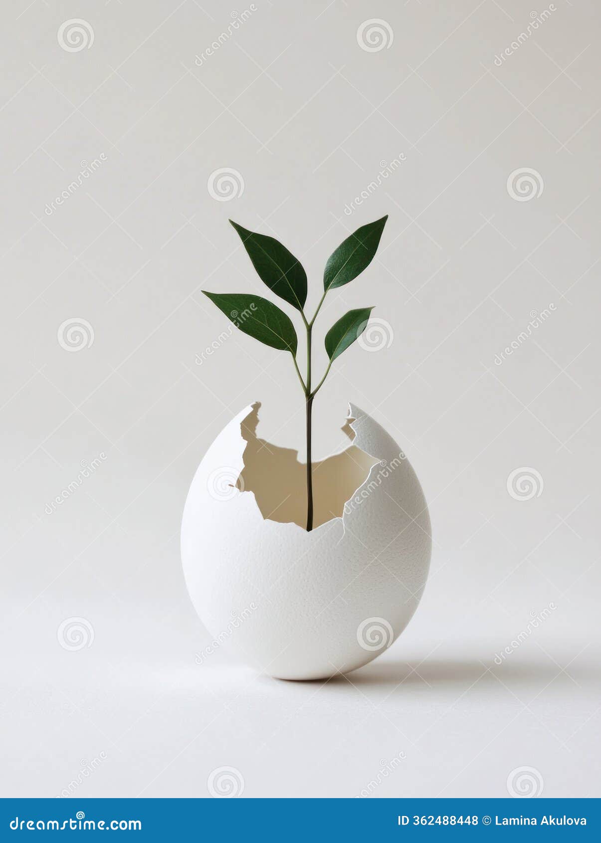Minimalist Growth Concept with Seedling Emerging from Eggshell for Eco ...