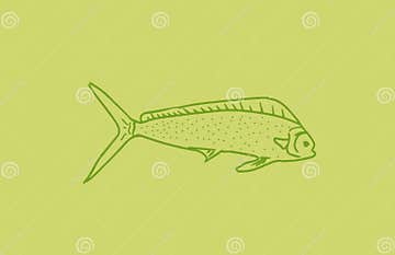 Minimalist Hand Draw Outline Mahi Mahi Fish Stock Vector - Illustration ...