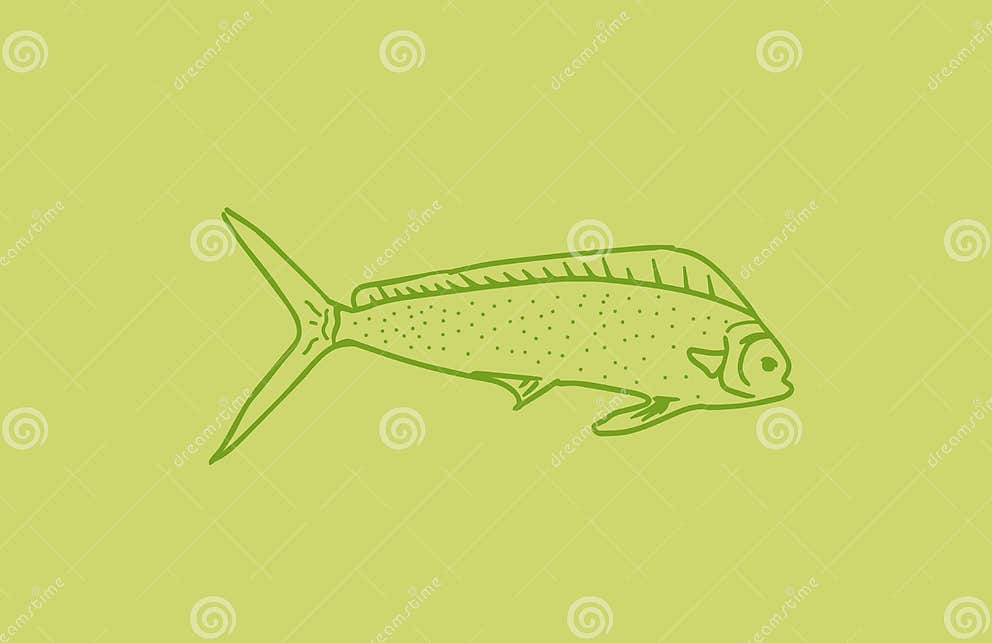 Minimalist Hand Draw Outline Mahi Mahi Fish Stock Vector - Illustration ...