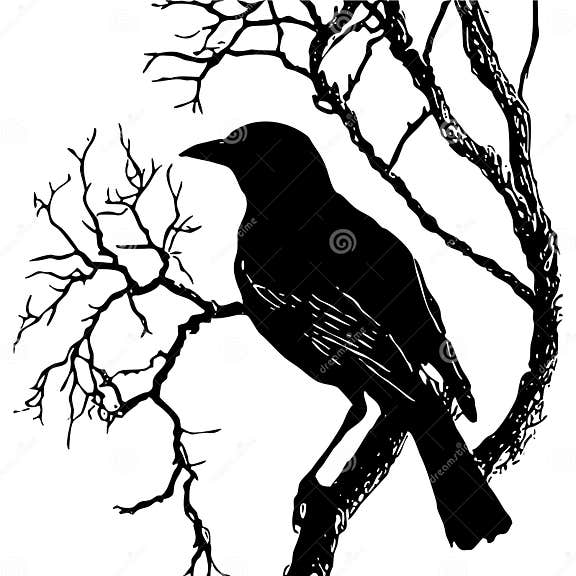Black Bird on a Tree on a White Background. Minimalist Illustration ...