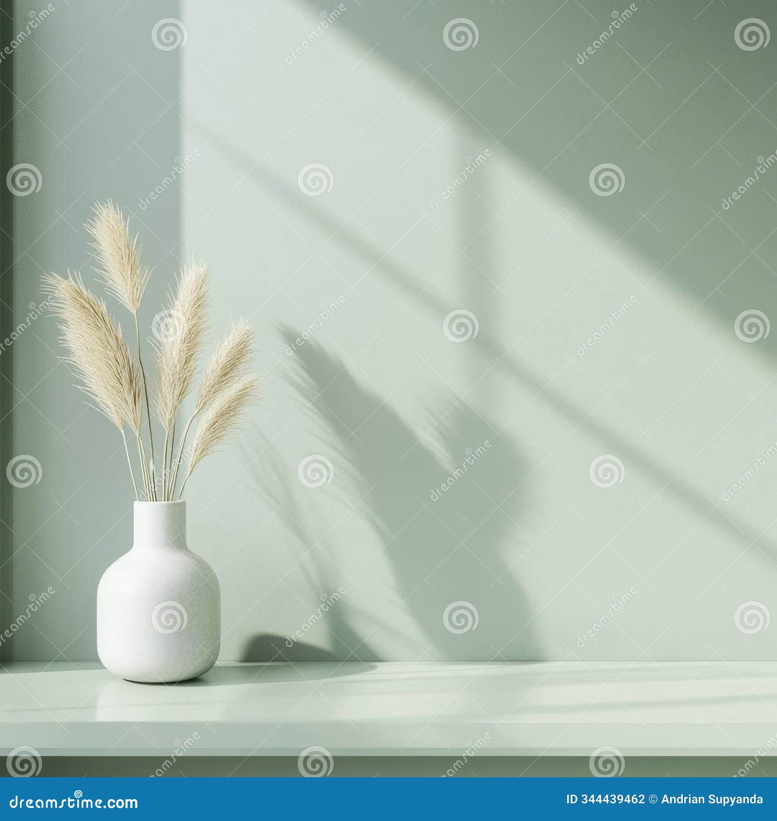 Minimalist Interior Design with Pampas Grass in Vase Stock Illustration ...