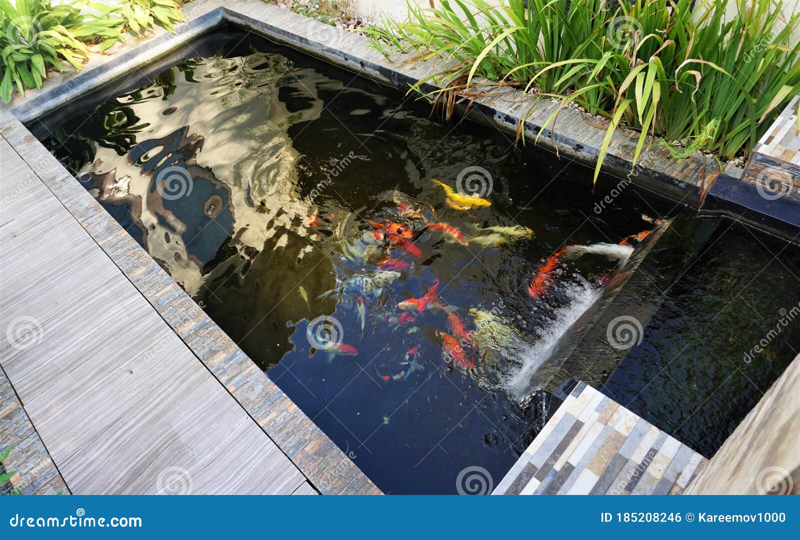 Minimalist koi fish pond stock photo. Image of hobby - 185208246