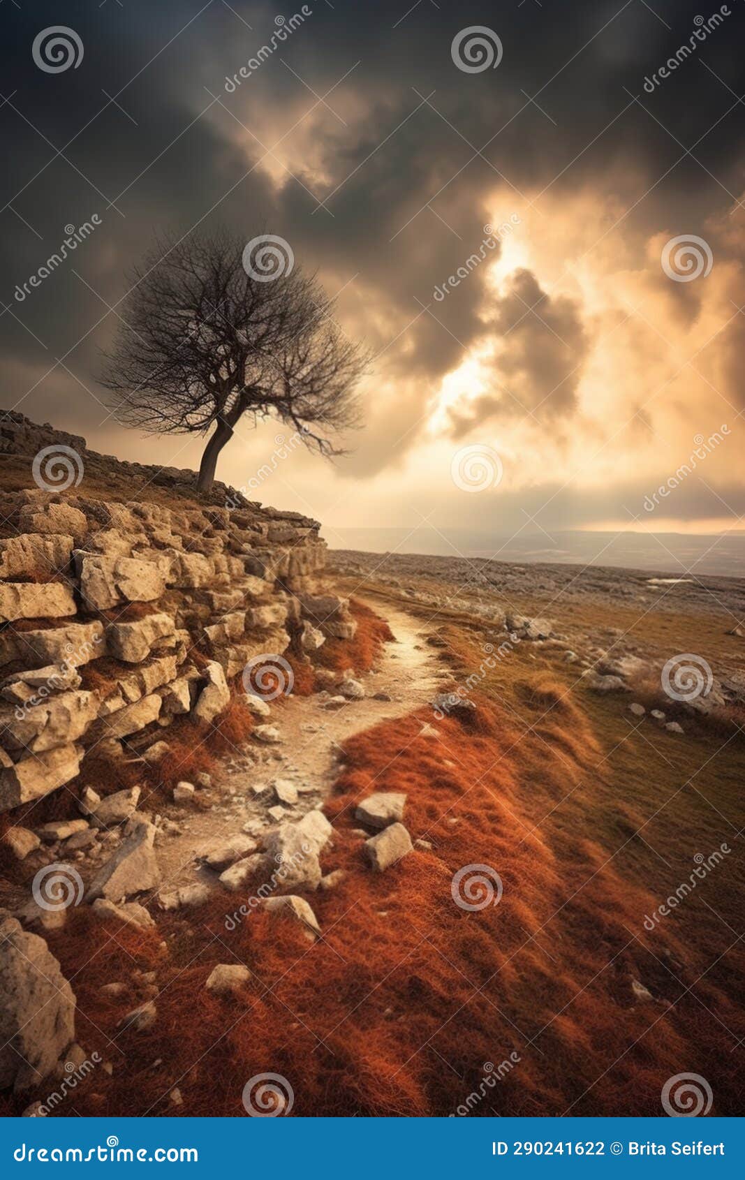 Minimalist Landscape with Bare Tree in Late Autumn or Winter Stock ...