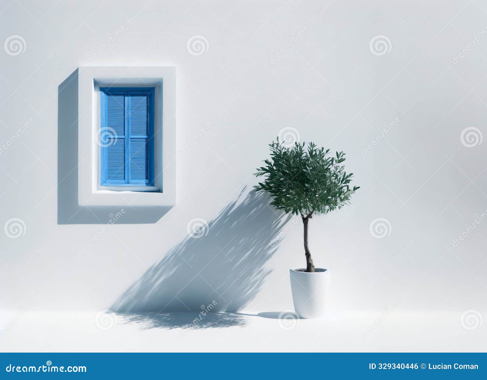 Minimalist Scene with a Small Olive Tree Next To a Blue Shuttered ...