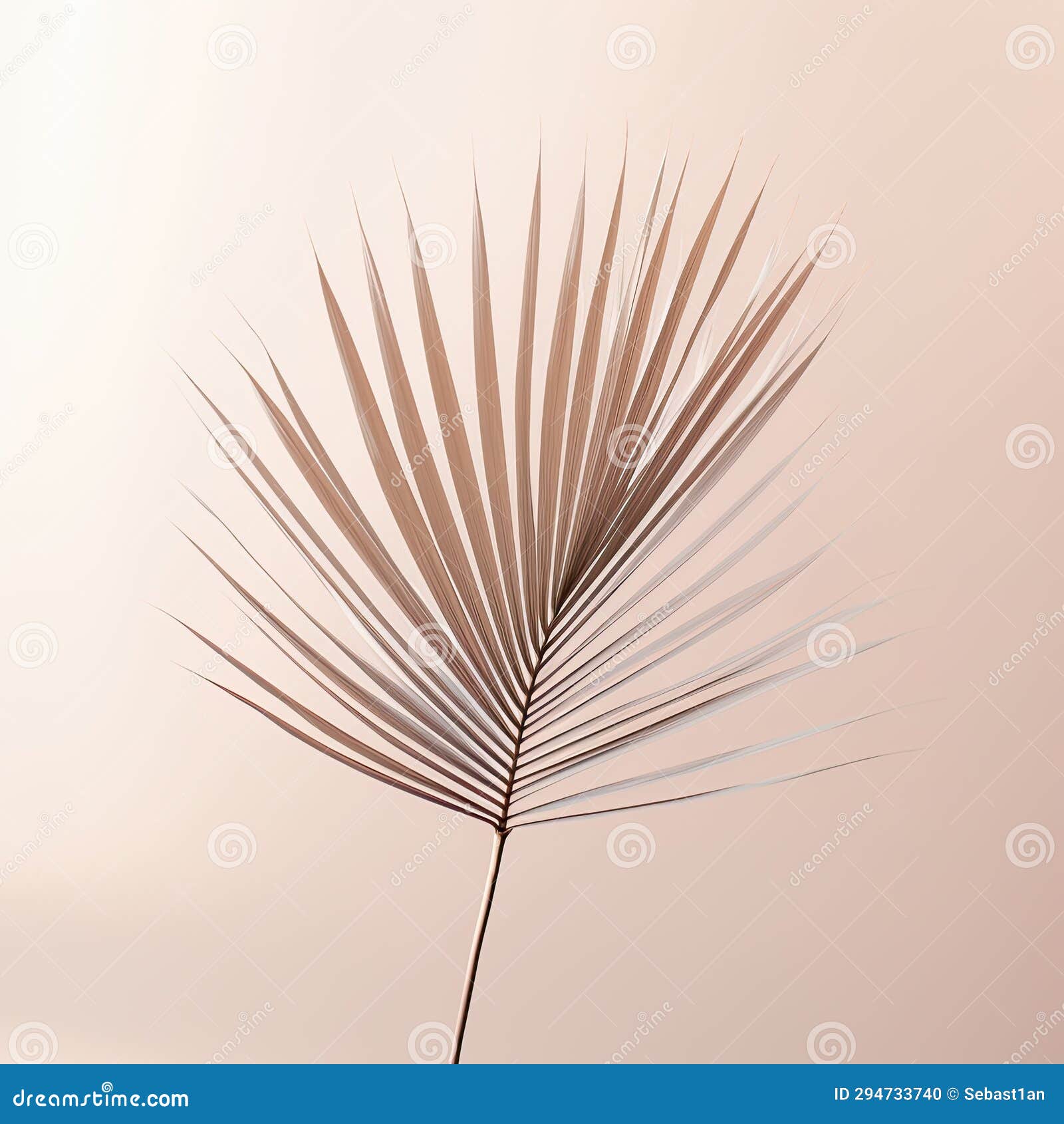 Minimalist Shoot of a Leaf in a Studio Setting with Carefully ...