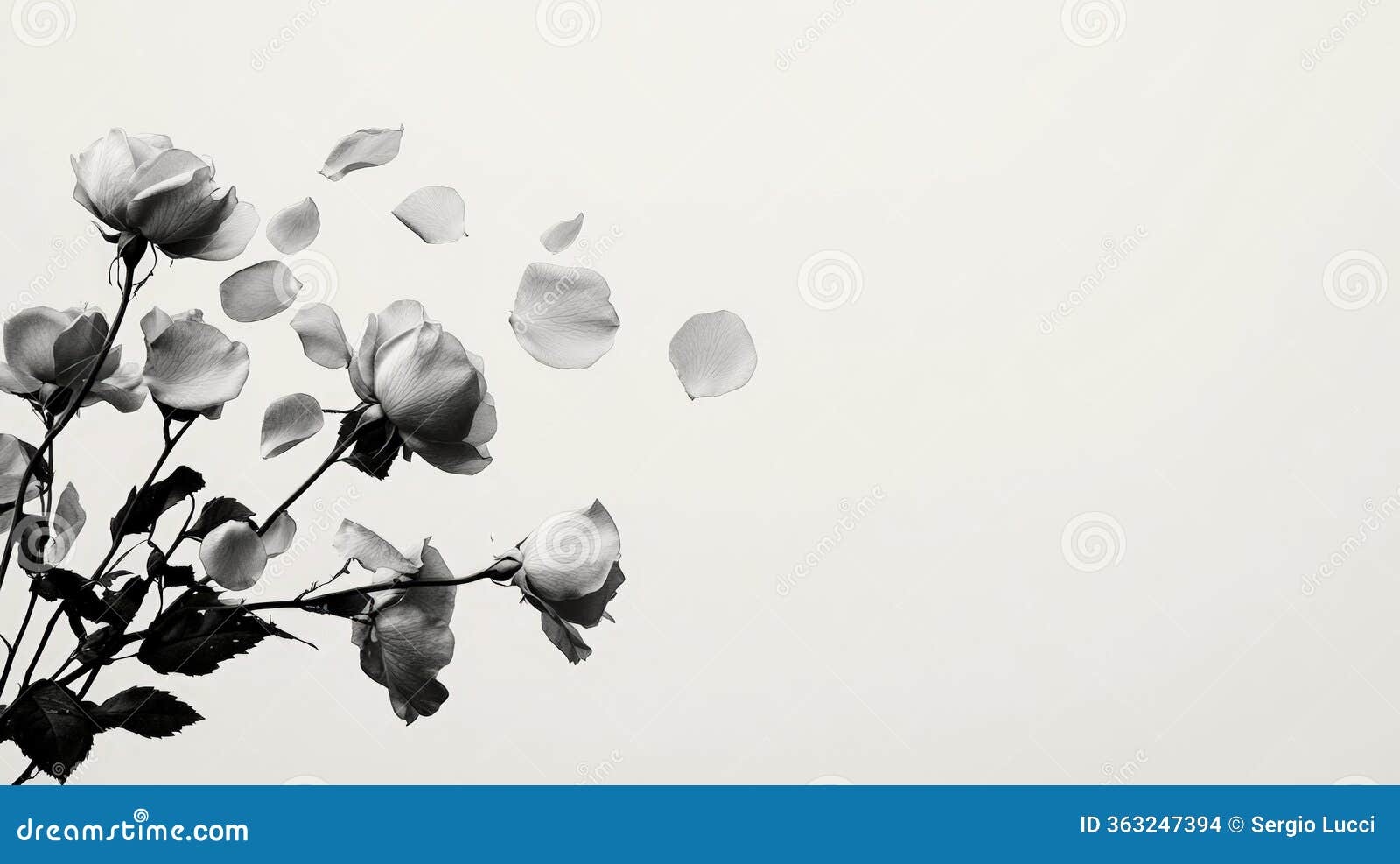 Minimalist Single Line Drawing of a Gently Arching Rose with Falling ...