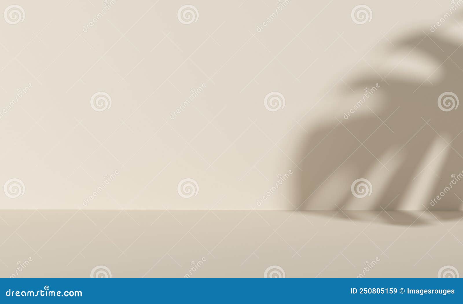 Minimalist Studio With Natural Light On Mojo Background For Product ...