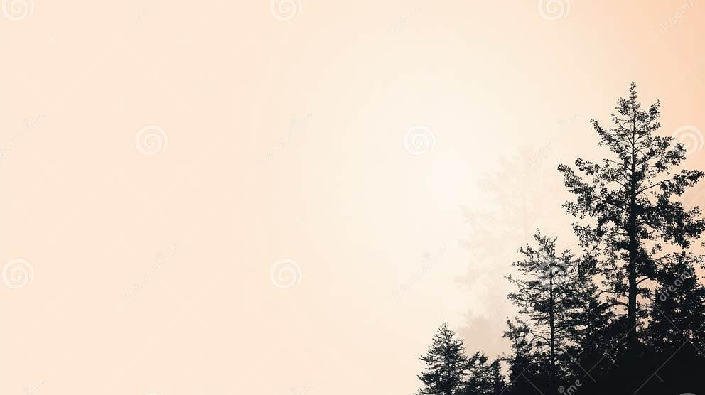 Minimalist Trees Creating Seamless Negative Space Against Soft ...