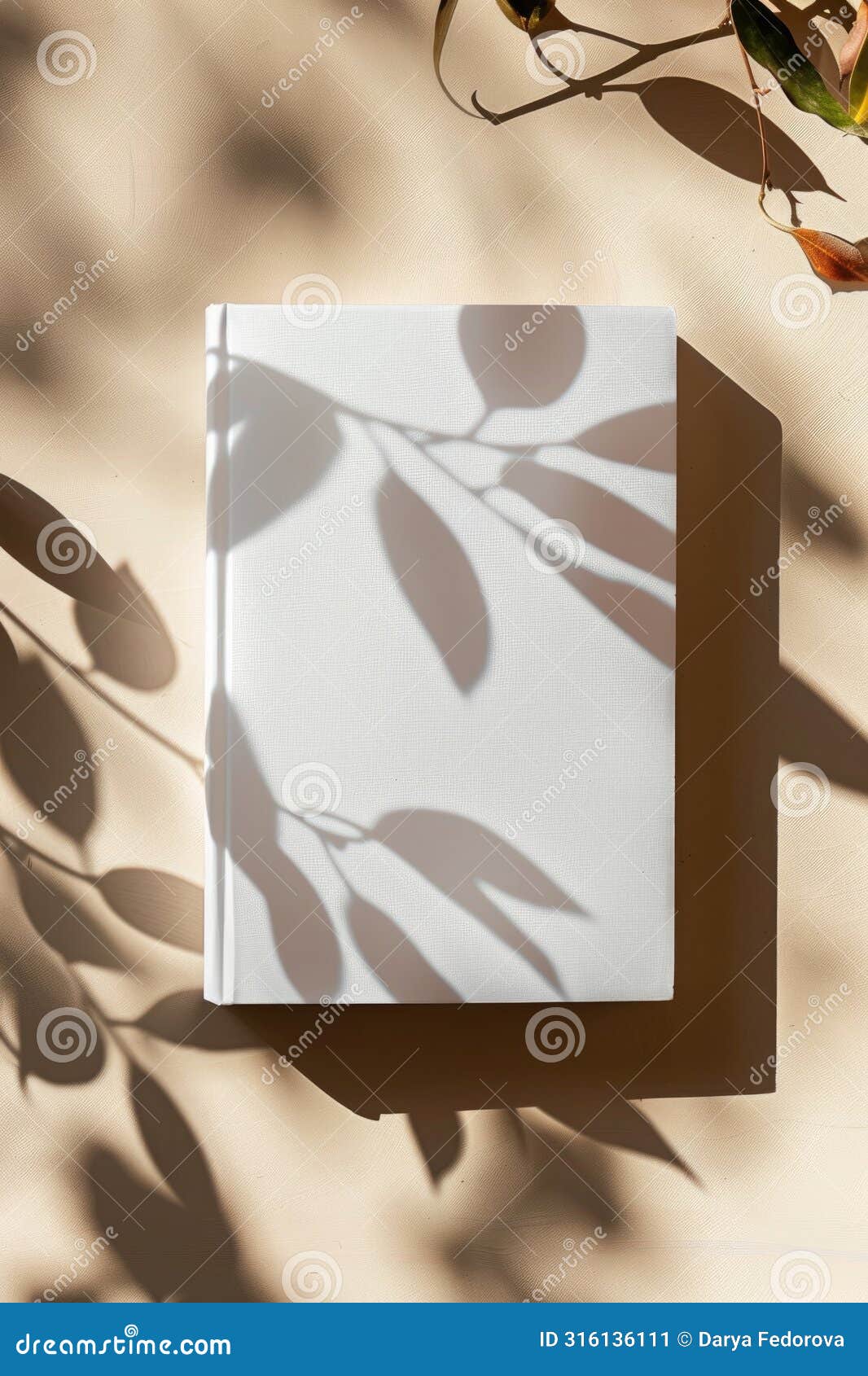 Minimalist White Book Cover with Elegant Shadow Play Stock Image ...