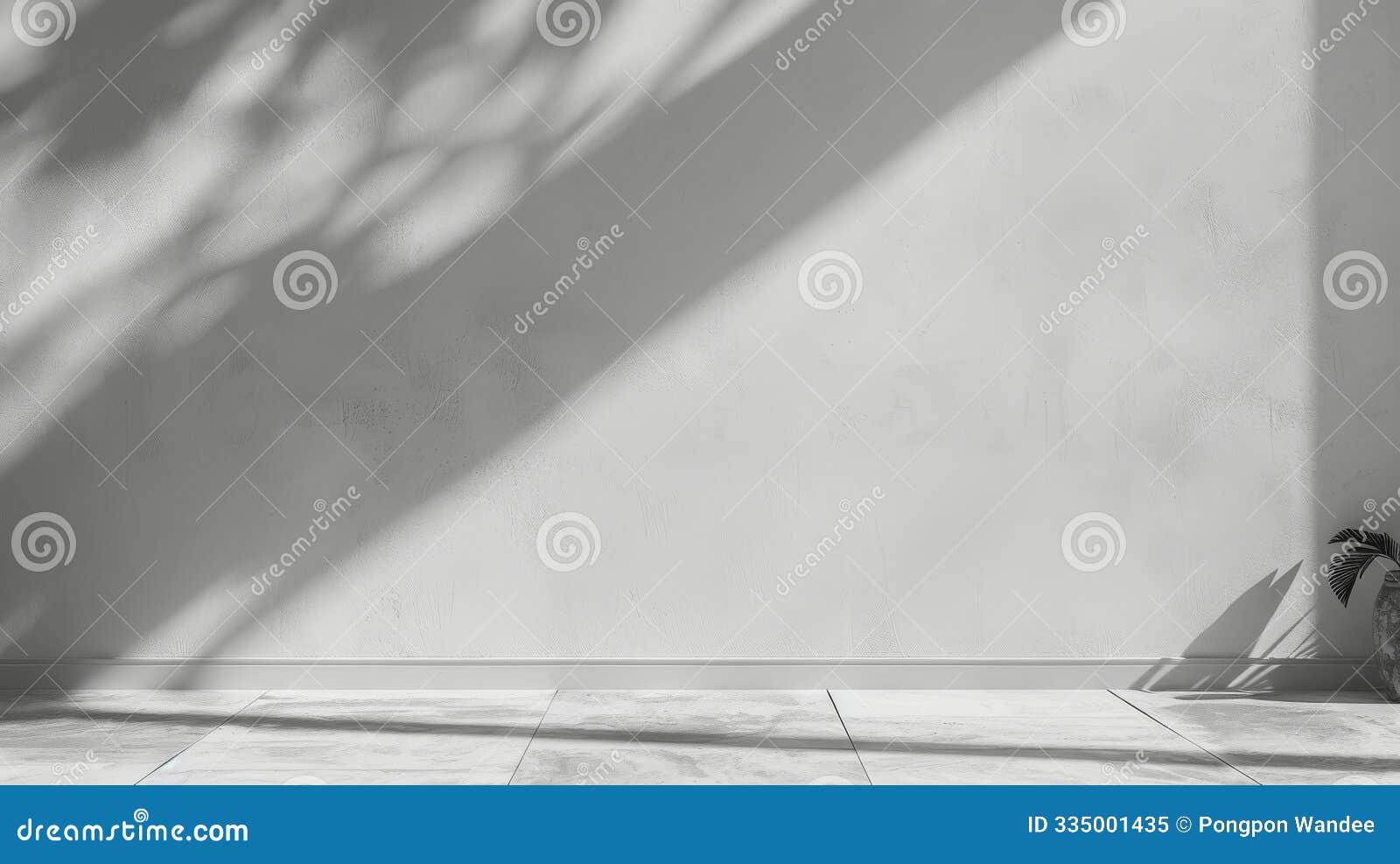 Minimalist White Wall with Shadow Patterns and a Single Plant Stock ...