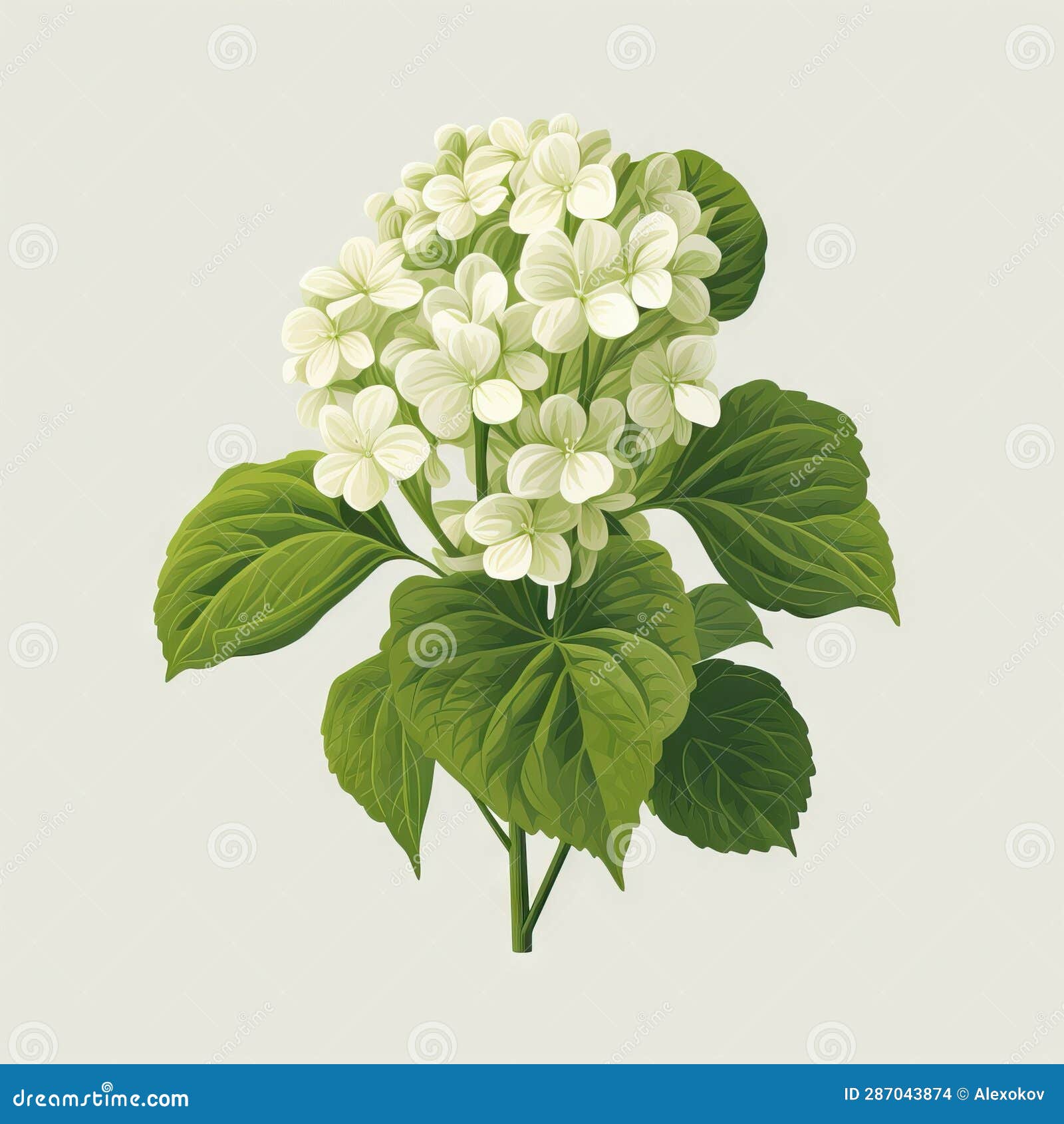 Minimalistic Animation of Hydrangea Flowers AI Generated Stock ...