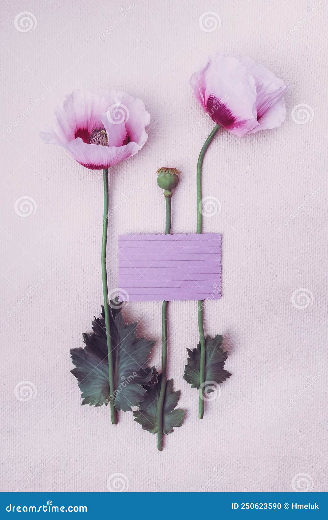 Postcard with a Bouquet of Summer Poppies Stock Photo - Image of plant ...